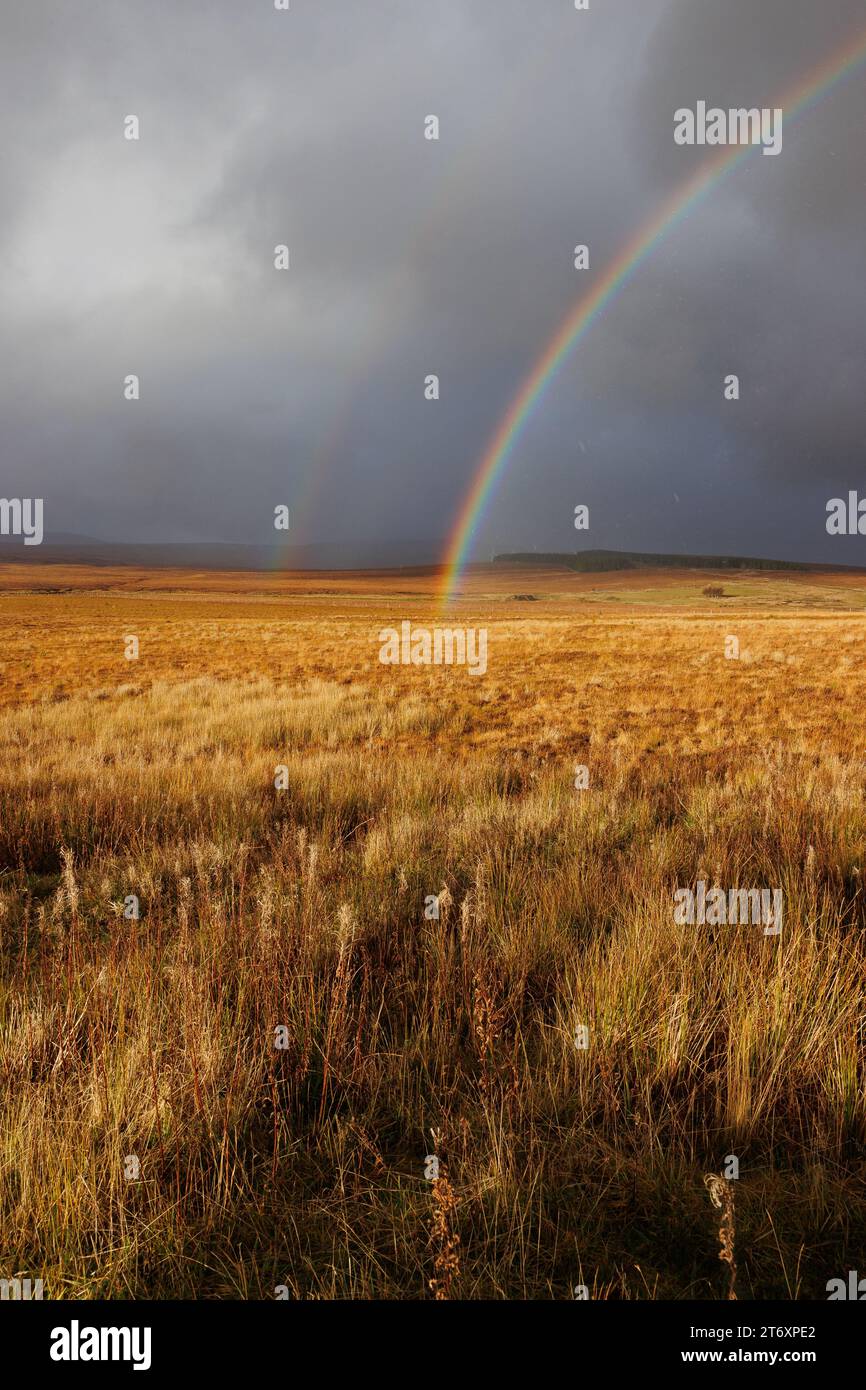 Nov 11, 2023. Alcaig, Scotland. A double rainbow forms over the Flow ...