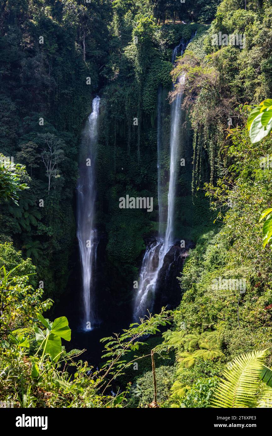 The Sekumpul Waterfall, a large waterfall in the middle of the jungle ...