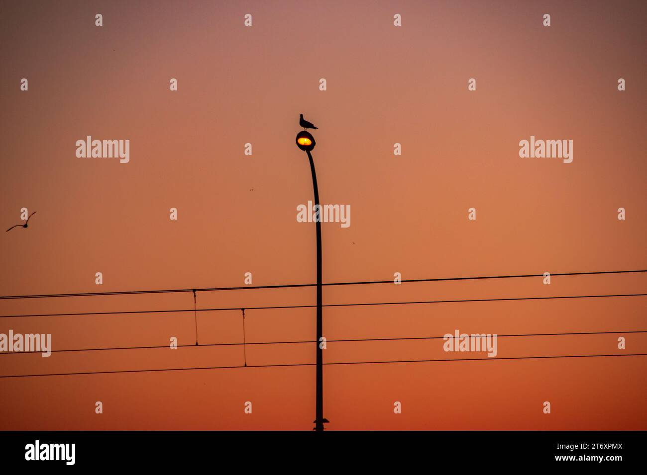 Cityscapes Captured in Backlight Stock Photo - Alamy