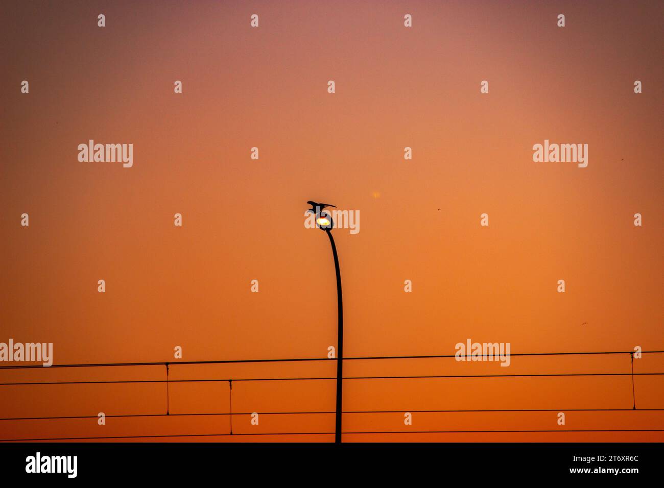 Cityscapes Captured in Backlight Stock Photo - Alamy