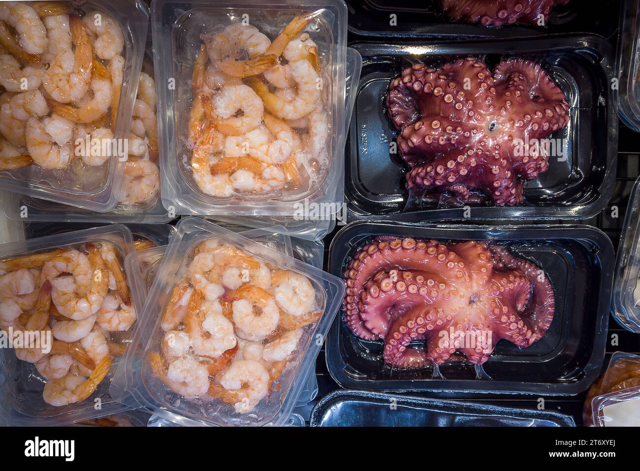 Octopus and shrimps precooked in vacuum-sealed trays for sous vide ...