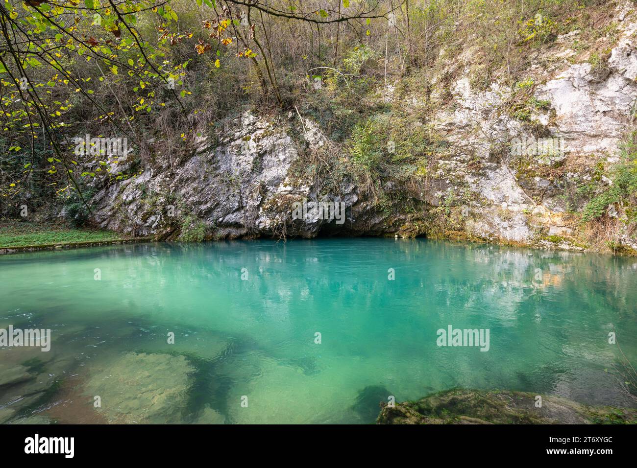 view of the Gorgazzo source pool, one of the sources of the Livenza ...