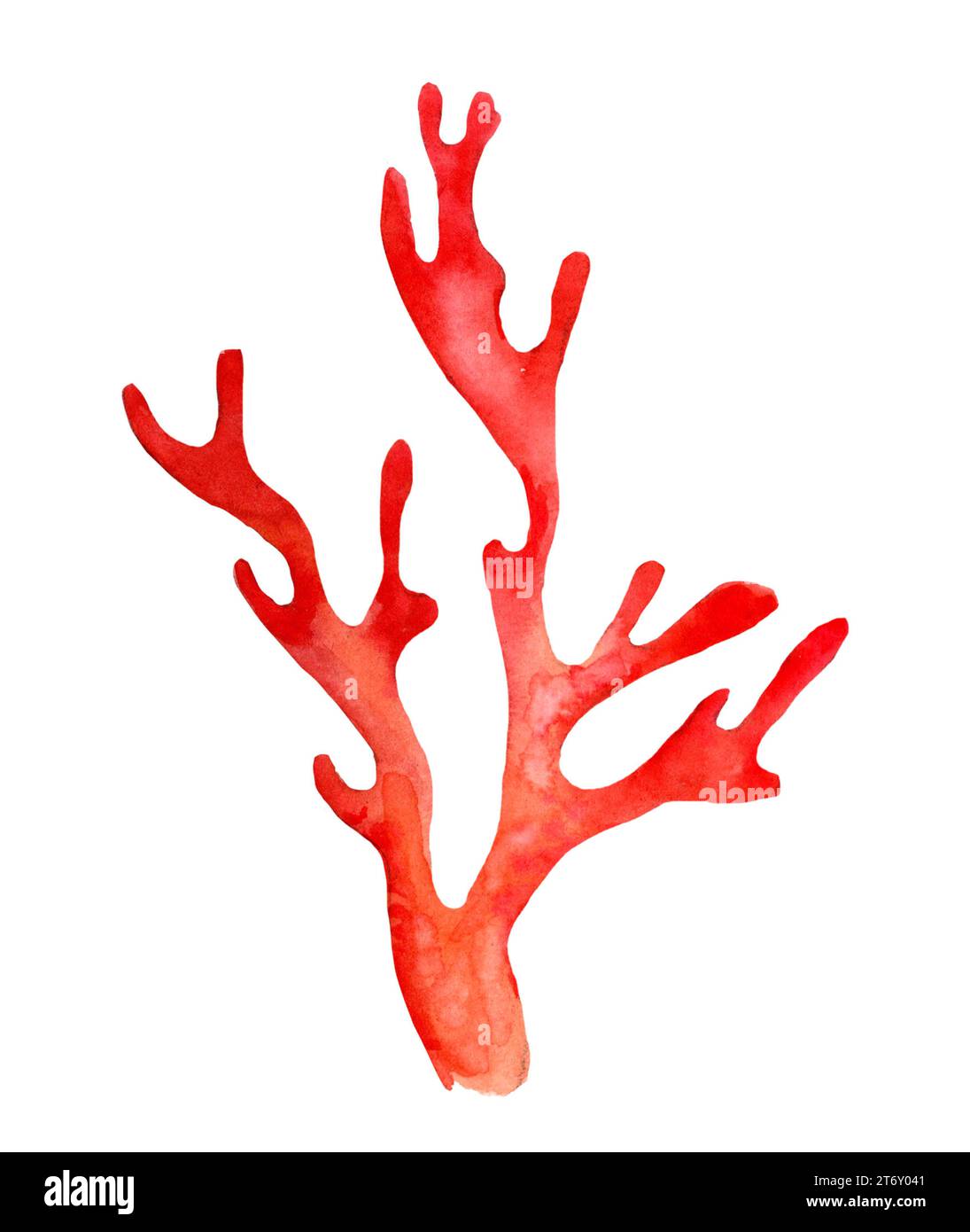 Watercolor Coral. Hand drawn illustration of reef on isolated white ...