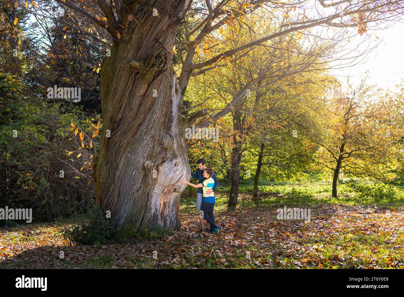Young man and woman connecting and communicating with a majestic old ...