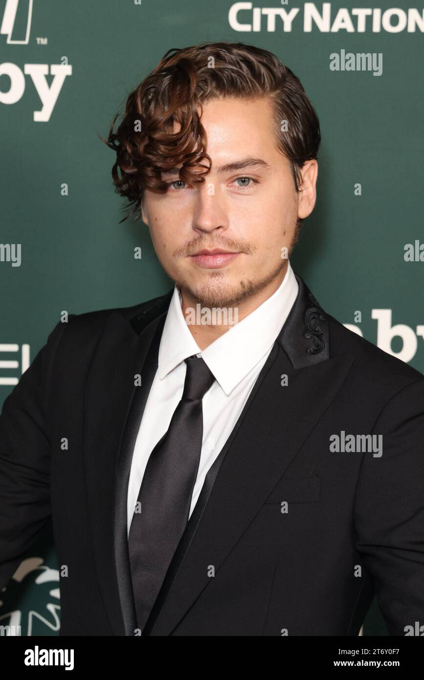 Hollywood, California, USA. 11th Nov, 2023. Cole Sprouse attends the 2023 Baby2Baby Gala ...