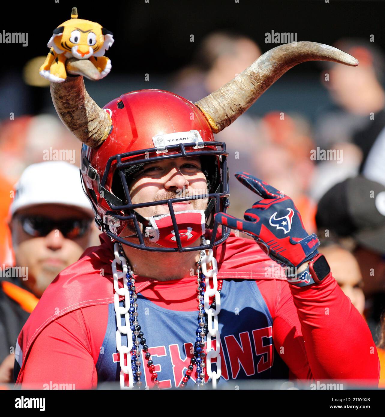 Bengal fan hi-res stock photography and images - Alamy