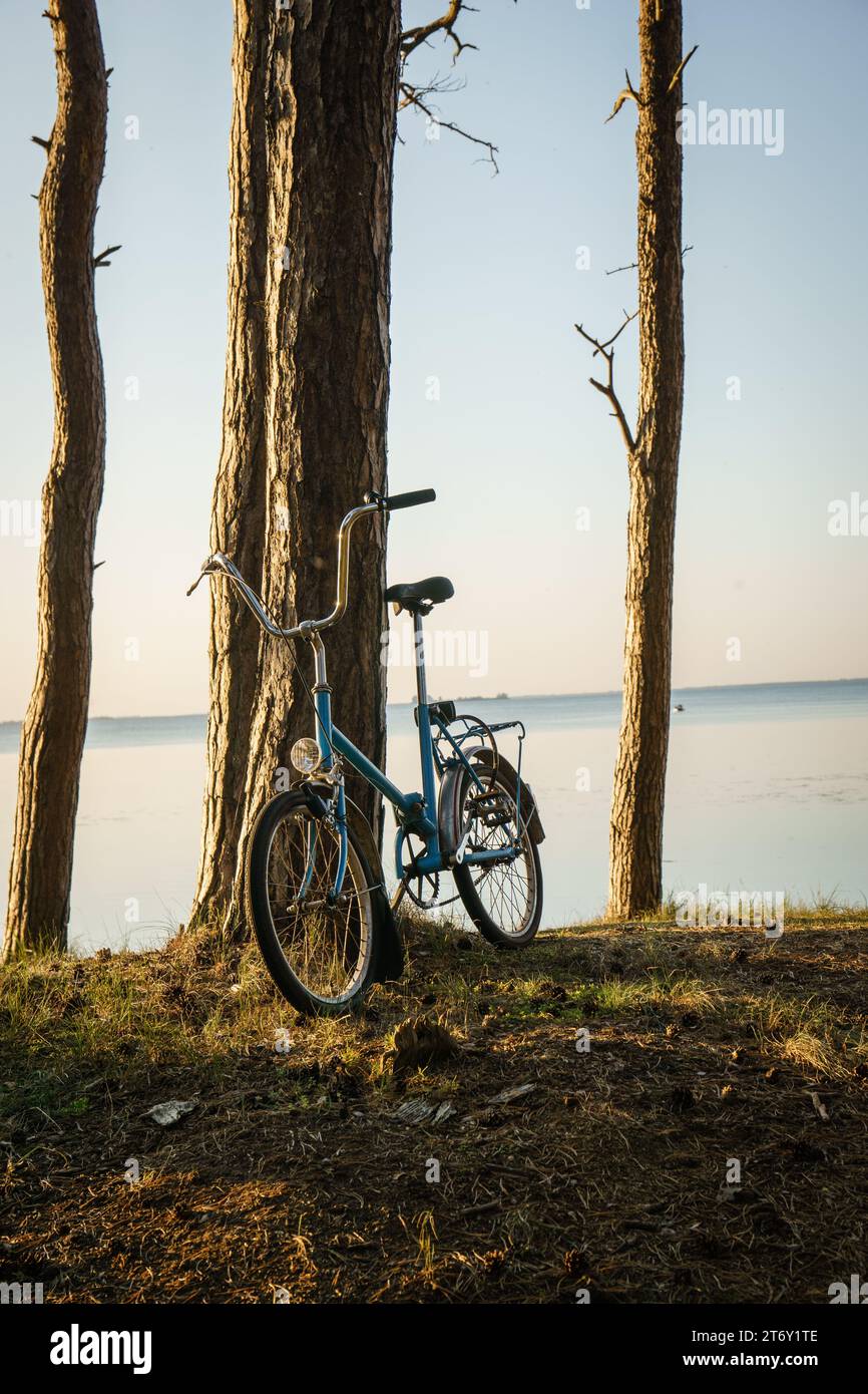 Bicycle leaning against tree trunk in front of blue sky and water Stock ...