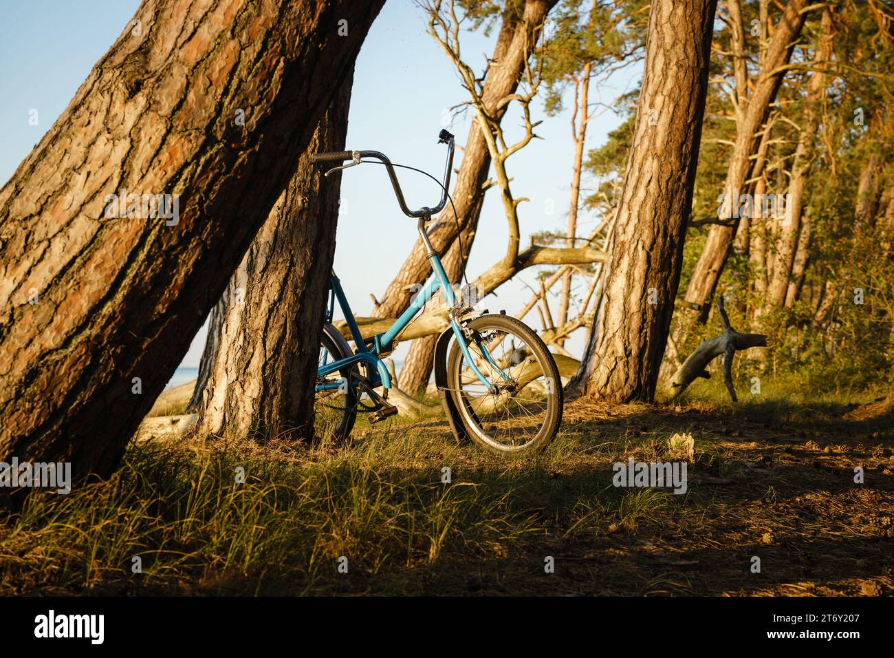 Folding bicycle handlebars hi-res stock photography and images - Alamy