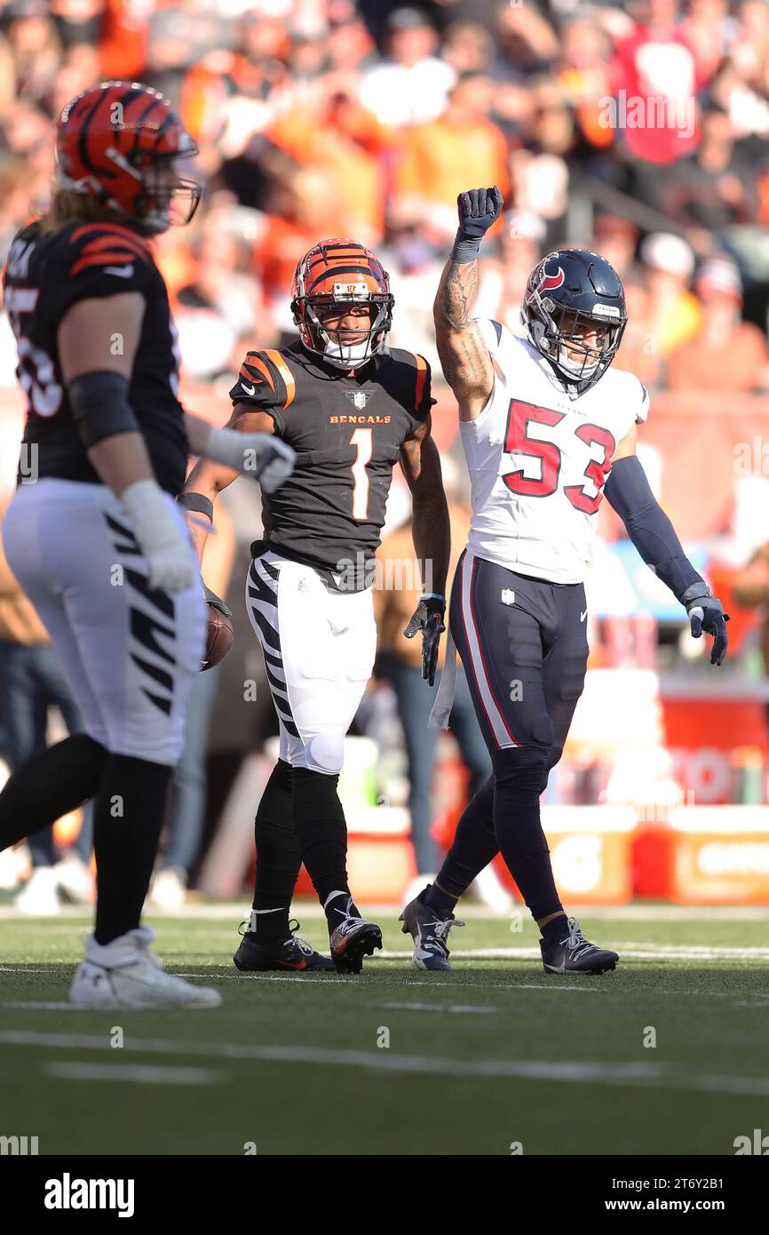 Houston Texans linebacker Blake Cashman (53) reacts after a play by ...