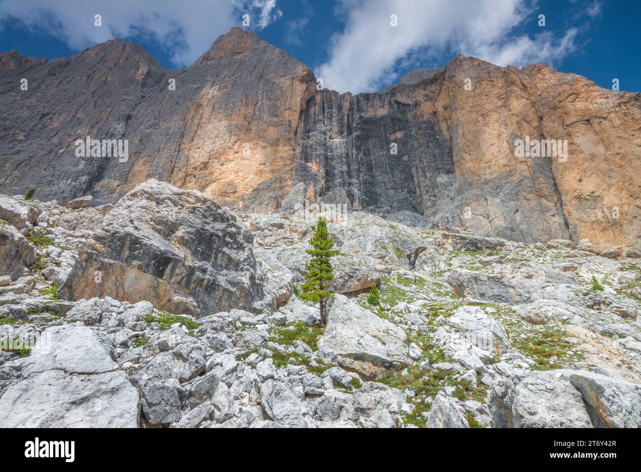 Huge tall limestone rock wall in the Dolomites - sheer rock face in the ...