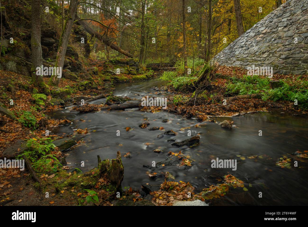 Wild river doubrava autumn fall hi-res stock photography and images - Alamy