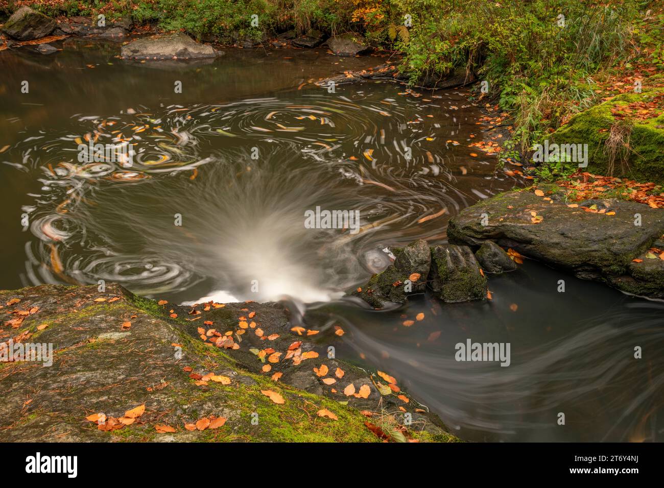 Wild river doubrava autumn fall hi-res stock photography and images - Alamy