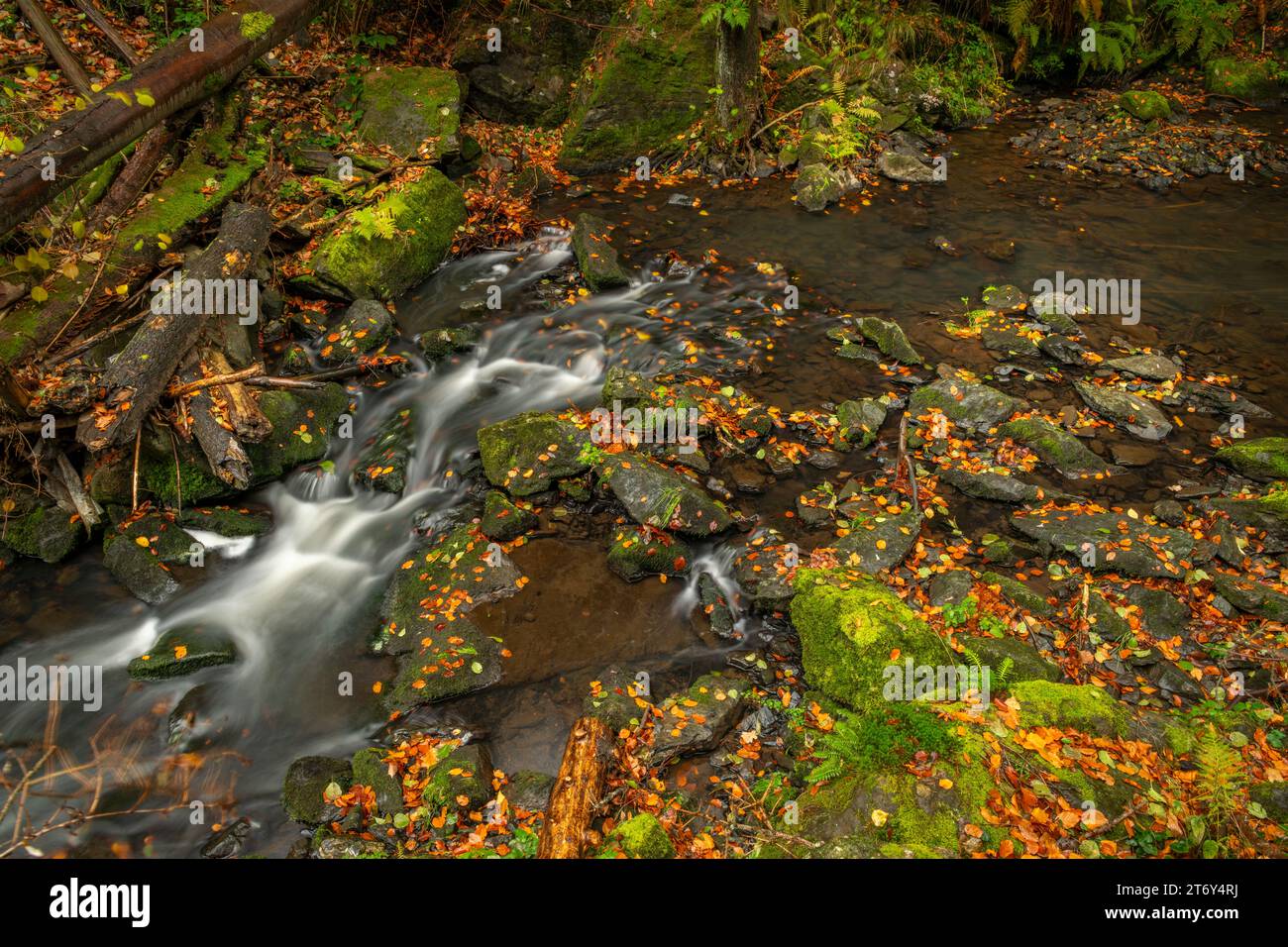 Wild river doubrava autumn fall hi-res stock photography and images - Alamy
