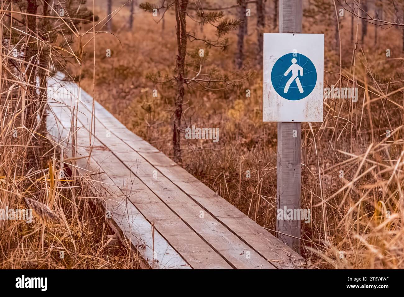 A hike sign indicating a hiking trail along the swamp. Late autumn in ...