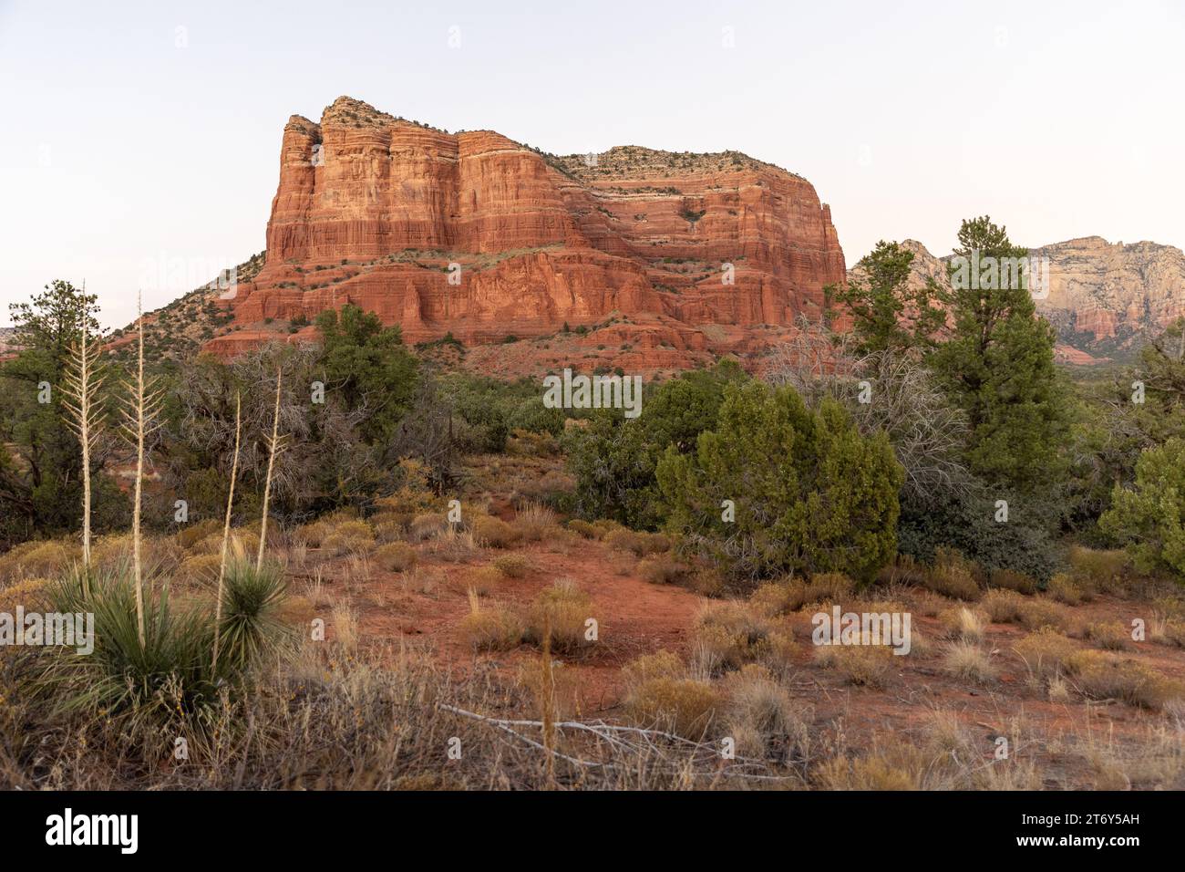 Courthouse Butte, Sedona, Arizona Stock Photo - Alamy