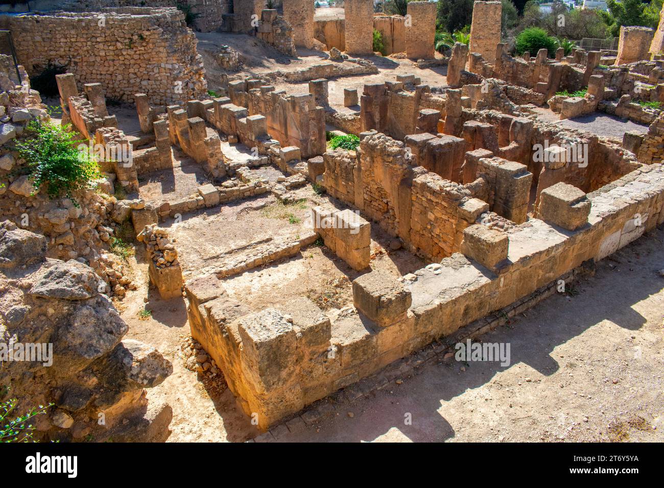 Ancient carthage port hi-res stock photography and images - Alamy