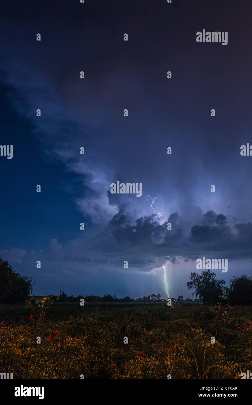 Lightning bolt strikes ground in the distance on a country field. Night ...