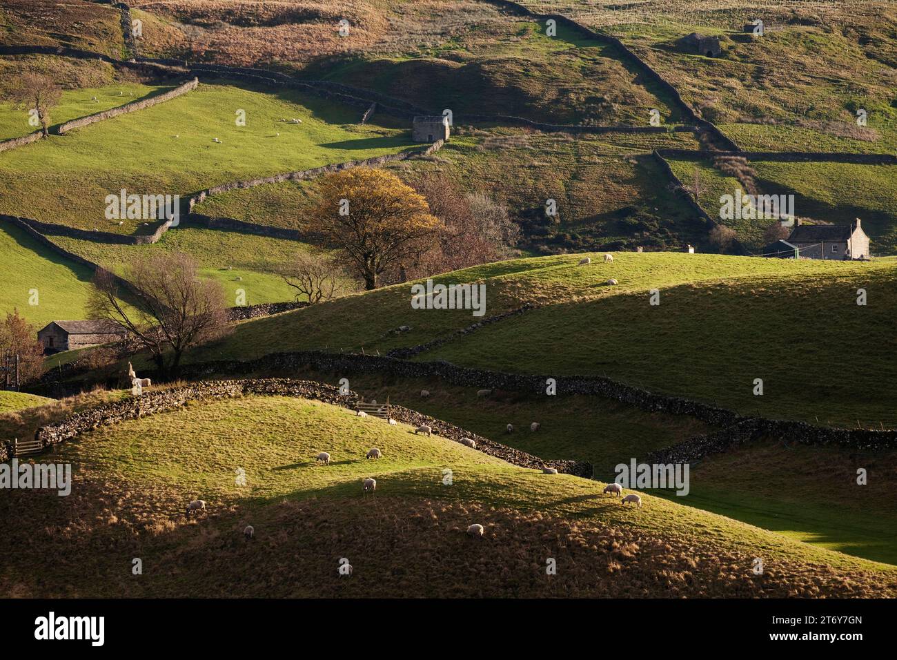 Yorkshire dales farm hi-res stock photography and images - Alamy