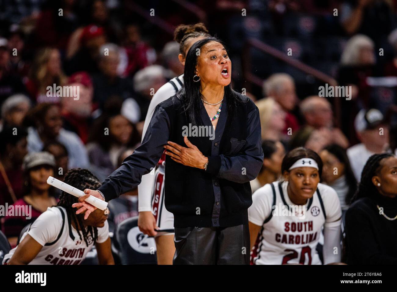 University of south carolina womens basketball hi-res stock photography ...
