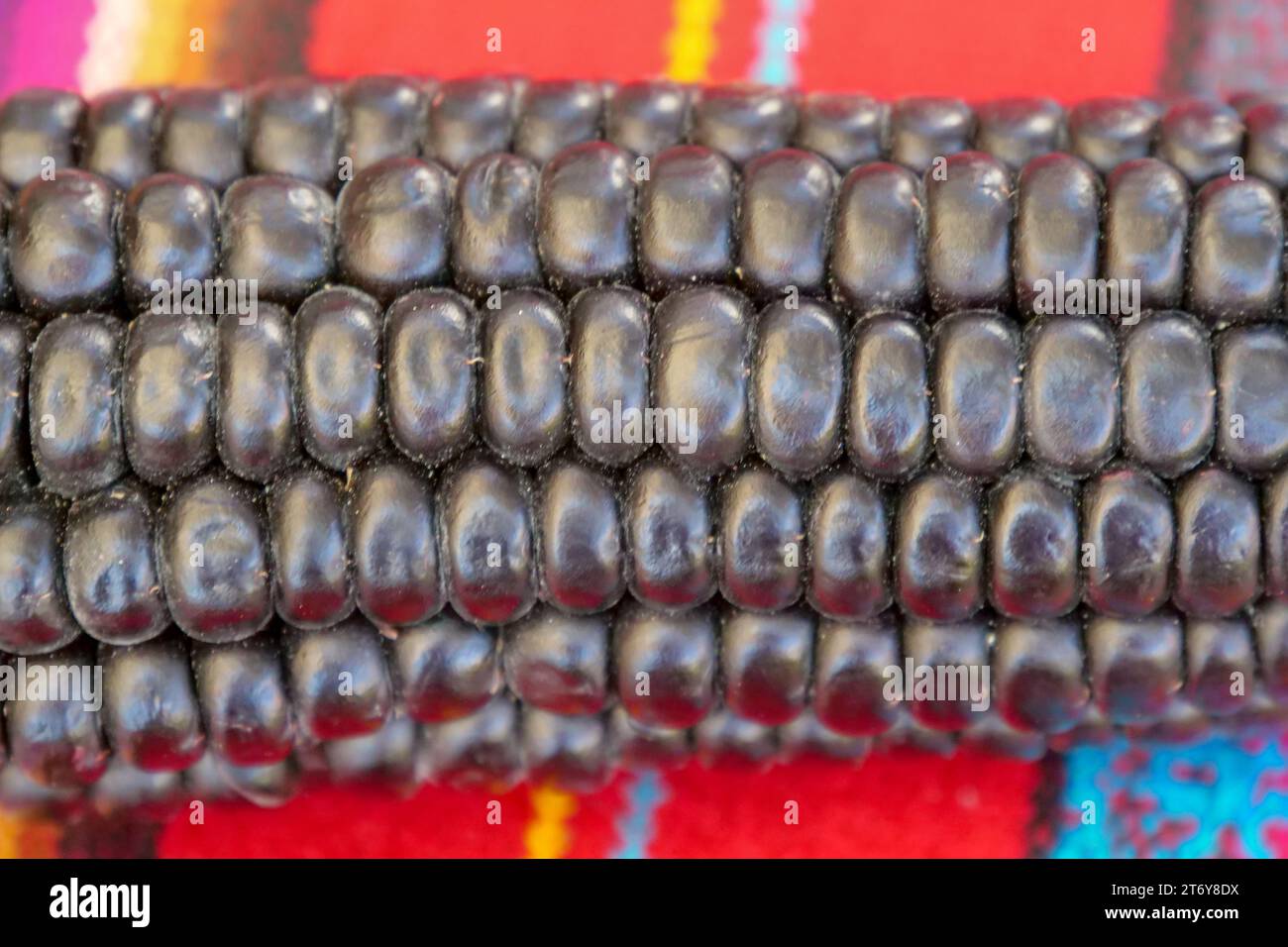 Maíz morado perú hi-res stock photography and images - Alamy
