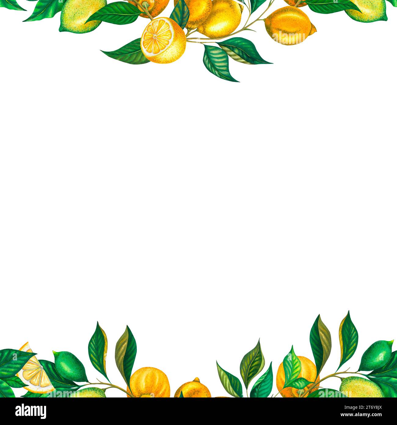 Watercolor lemon branch seamless square border top and bottom with ...