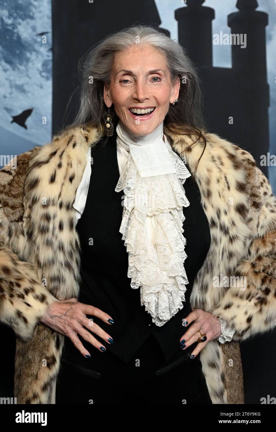 12 November 2023 Hamburg Eveline Hall Actress And Model Attends The Premiere Of The Musical