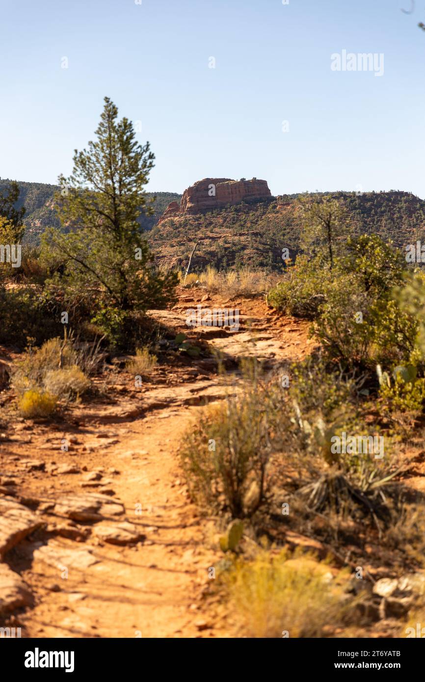 Red rocks, Coconino National Forest, Sedona, Arizona Stock Photo - Alamy