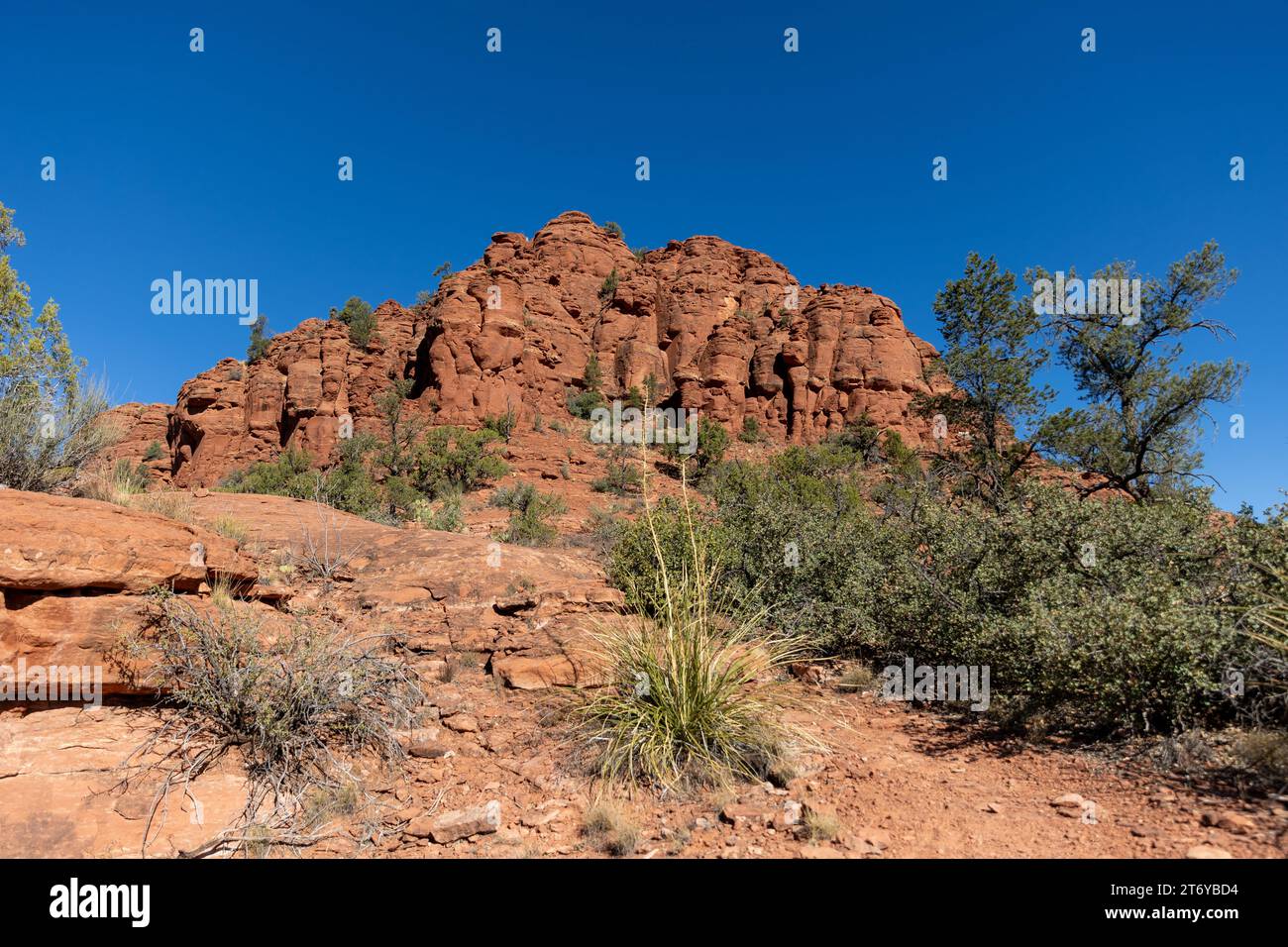 Red rocks, Coconino National Forest, Sedona, Arizona Stock Photo - Alamy