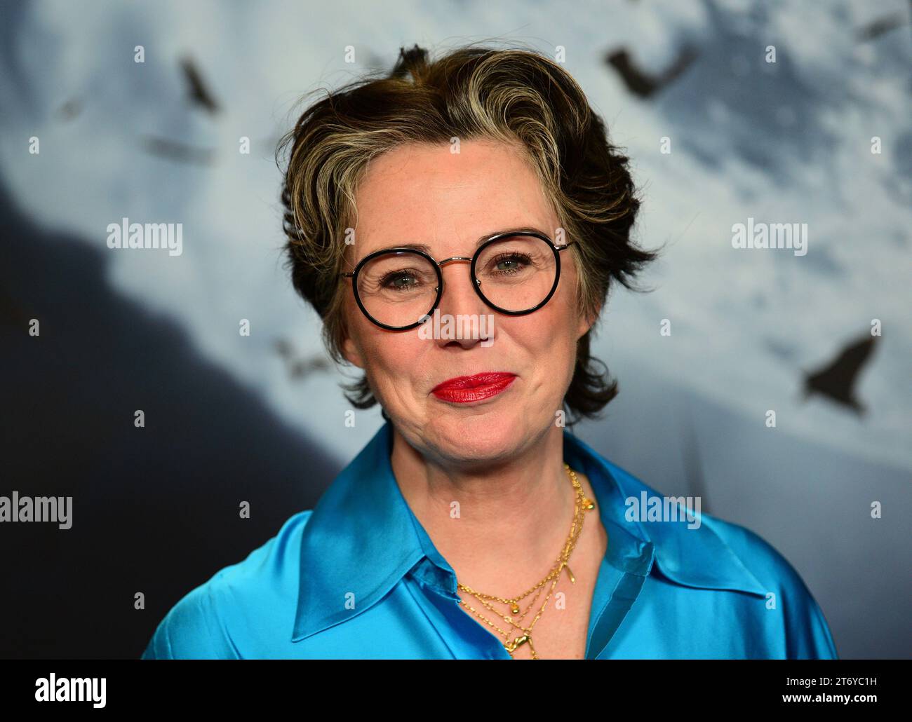 12 November 2023, Hamburg: Writer Ildikó von Kürthy attends the premiere of the musical "Dance ...
