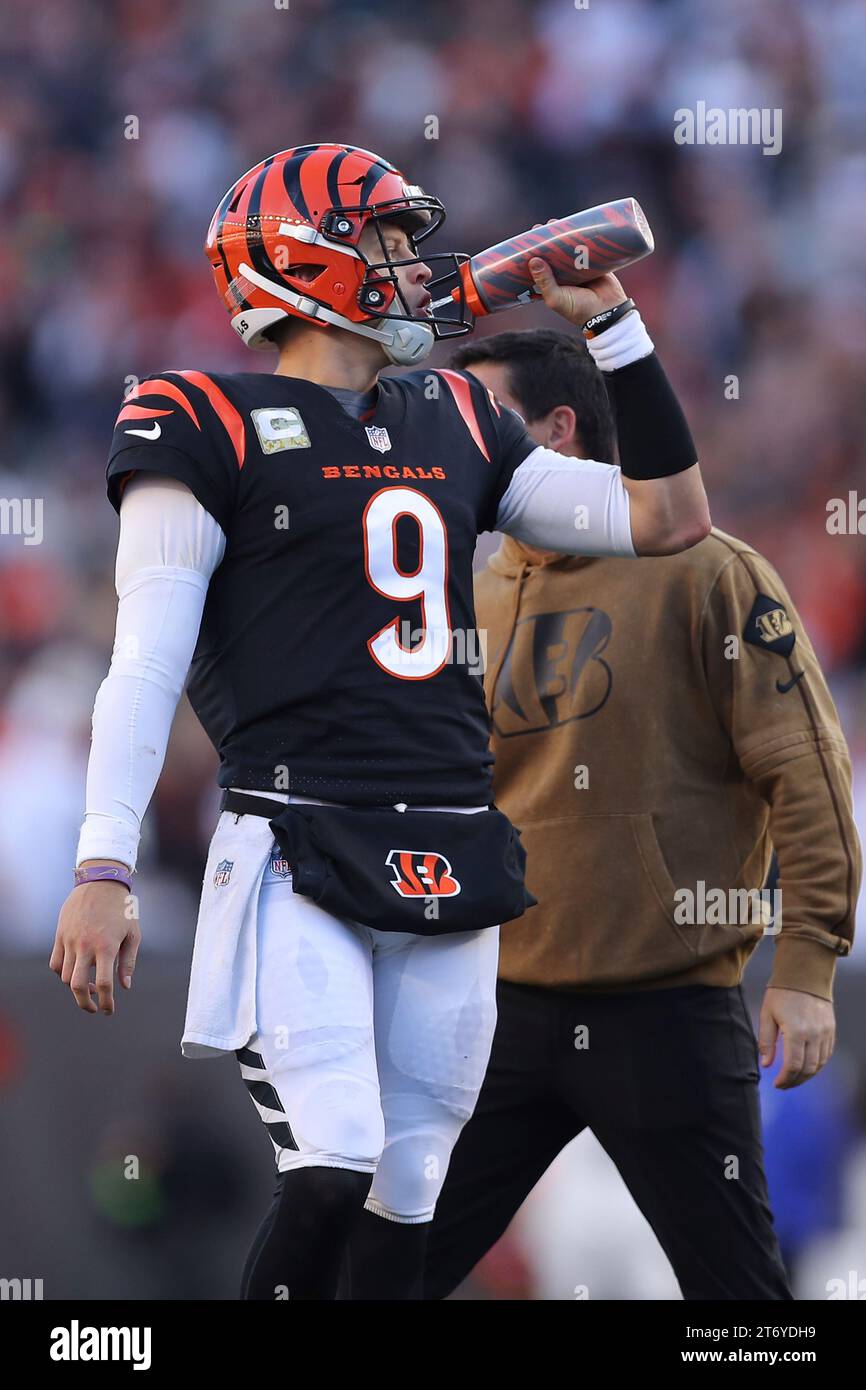 Cincinnati Bengals quarterback Joe Burrow (9) during an NFL football ...