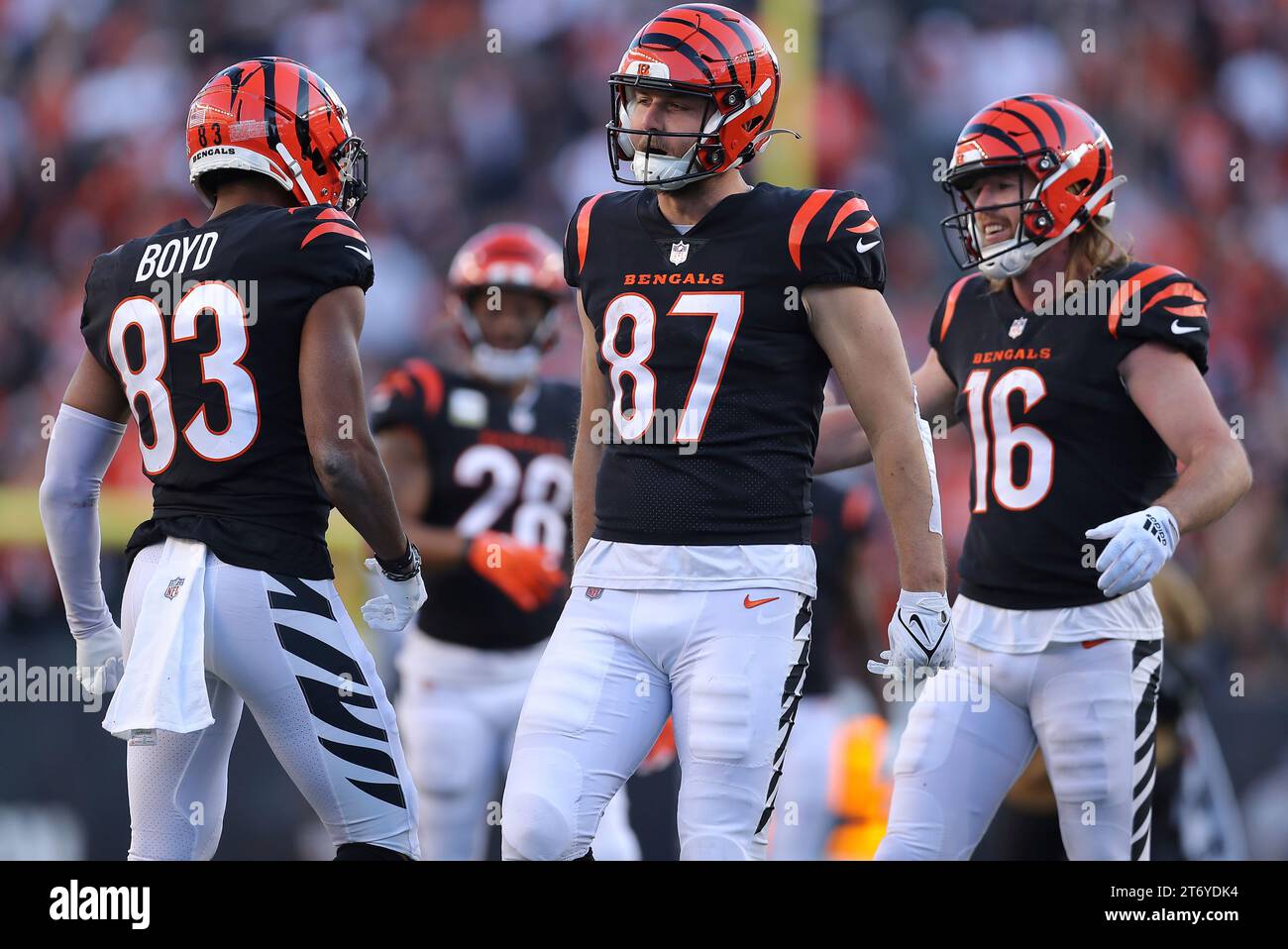 Cincinnati Bengals tight end Tanner Hudson (87) and Cincinnati Bengals ...