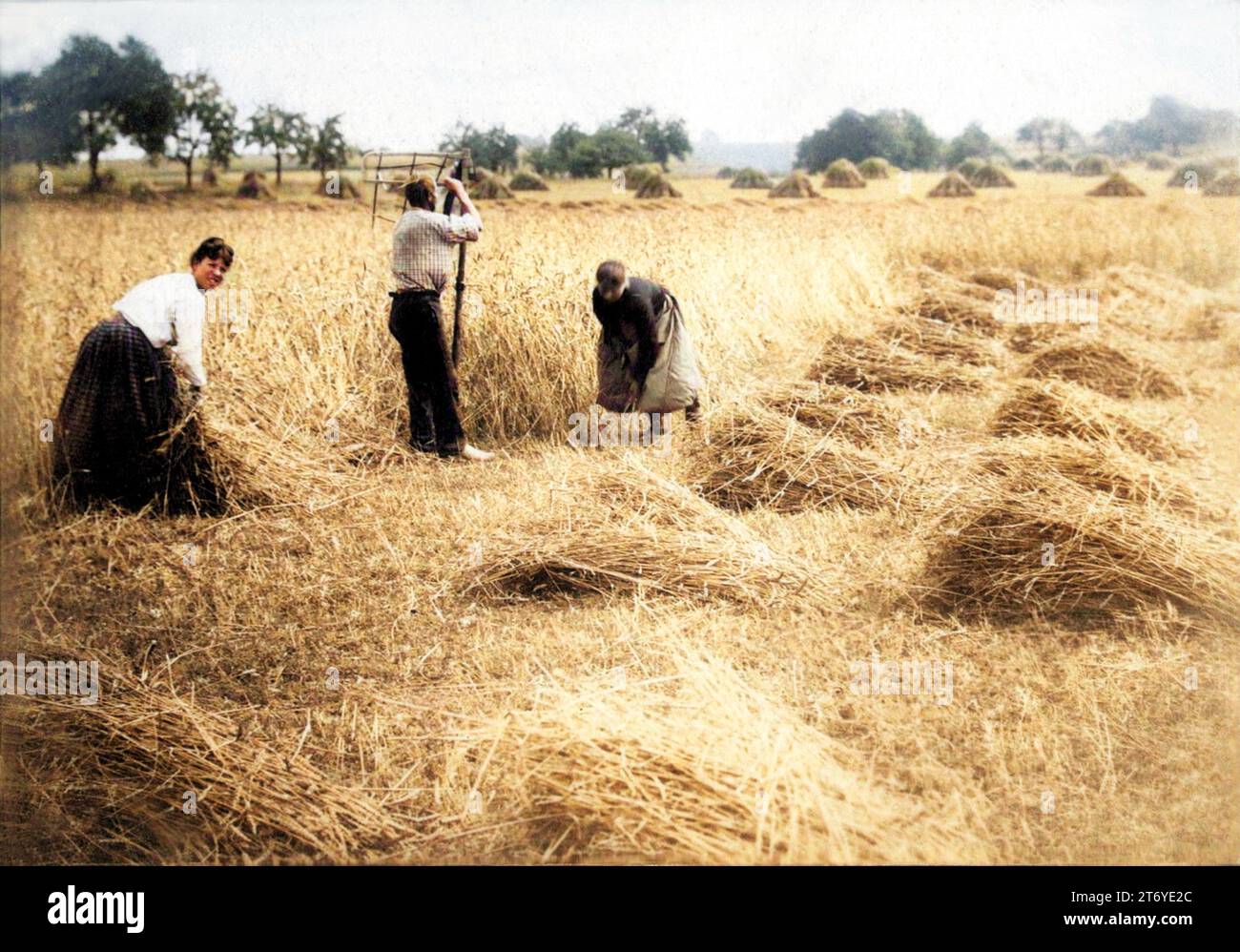 1814 1905 hi-res stock photography and images - Alamy