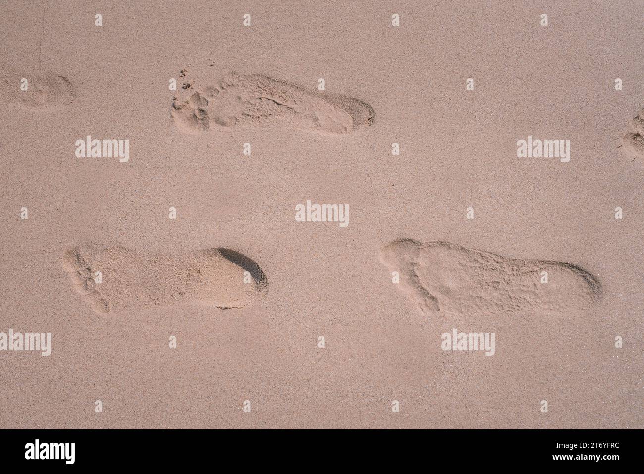 Three footprints at wet fine sand on tropical beach. Sunny day Stock ...