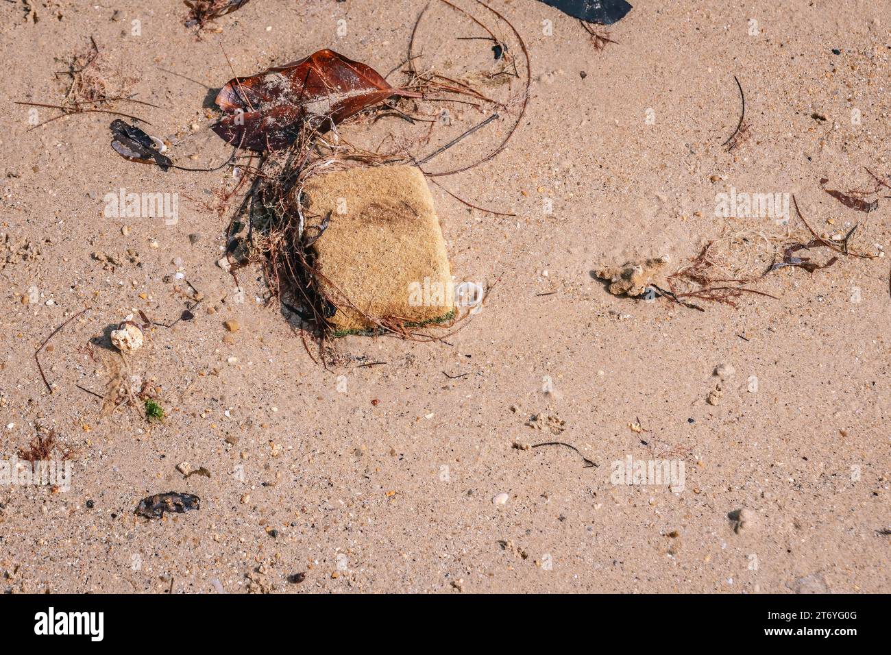 Old plastic wash sponge brought by waves to sand beach - environmental ...