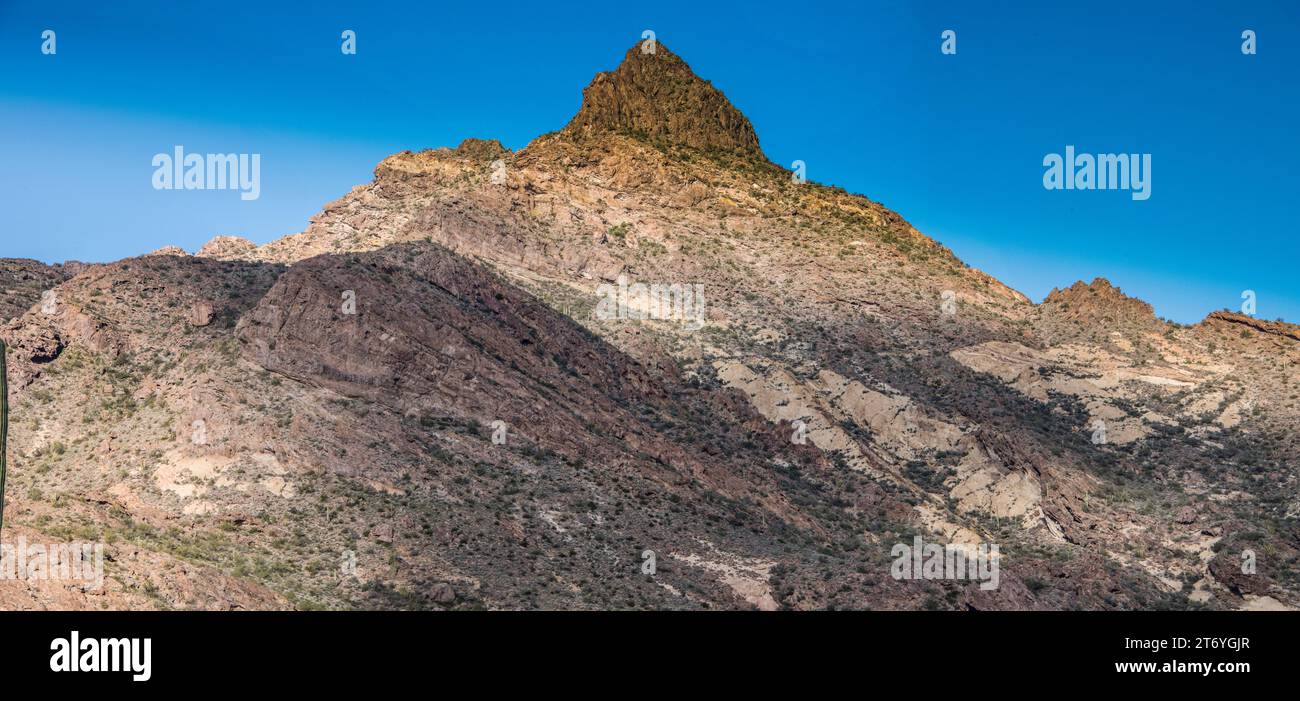 Landscape panorama of Mt Ajo in Organ Pipe Cactus National Monument ...