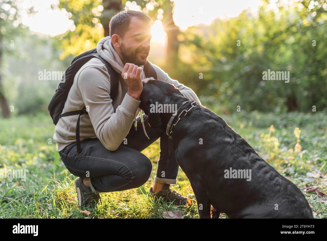 Smiling owner loving his black labrador forest Stock Photo - Alamy