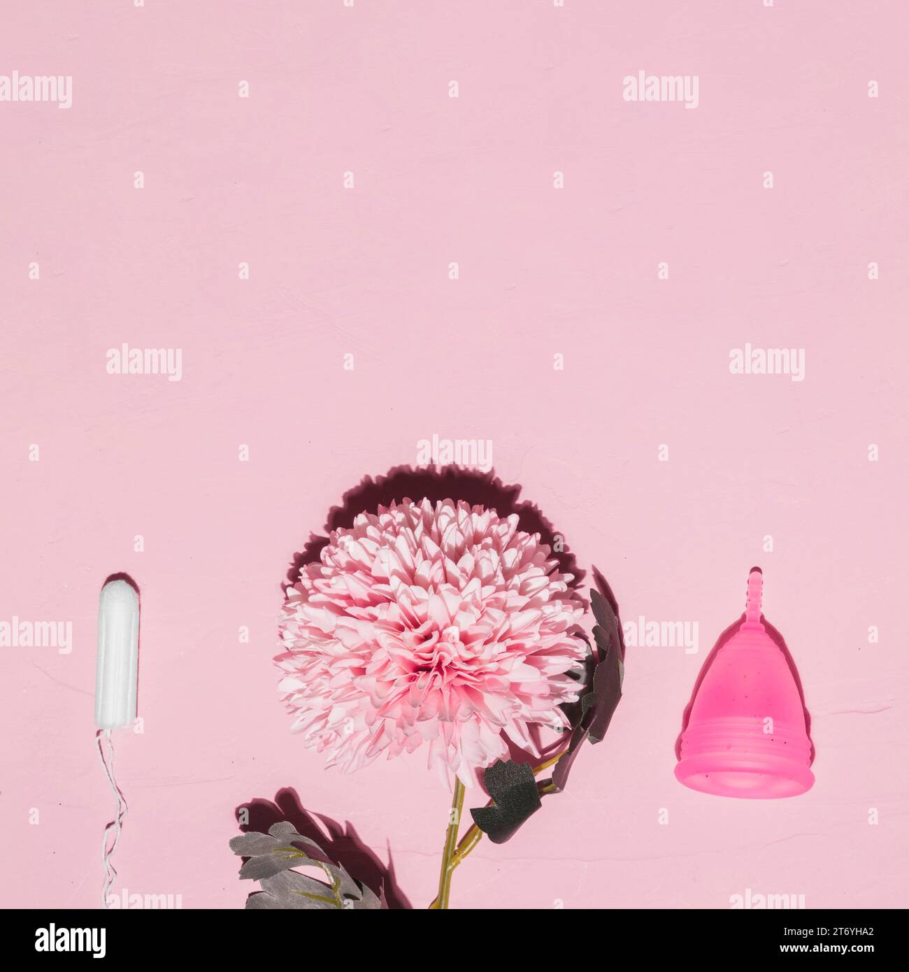 Top view flower with tampon menstrual cup Stock Photo - Alamy