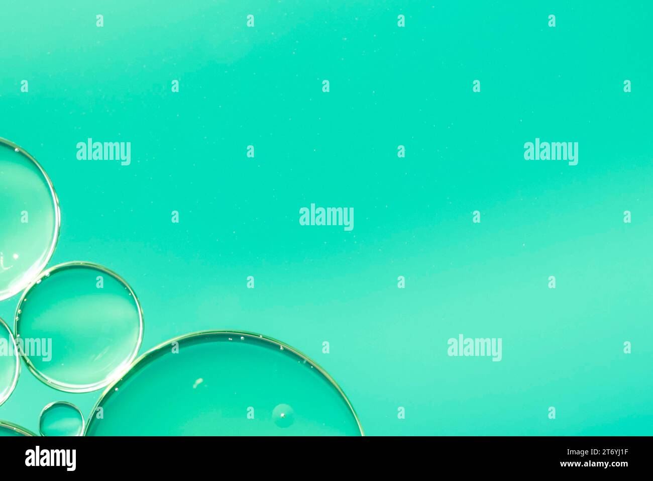 Plain green water background hi-res stock photography and images - Alamy