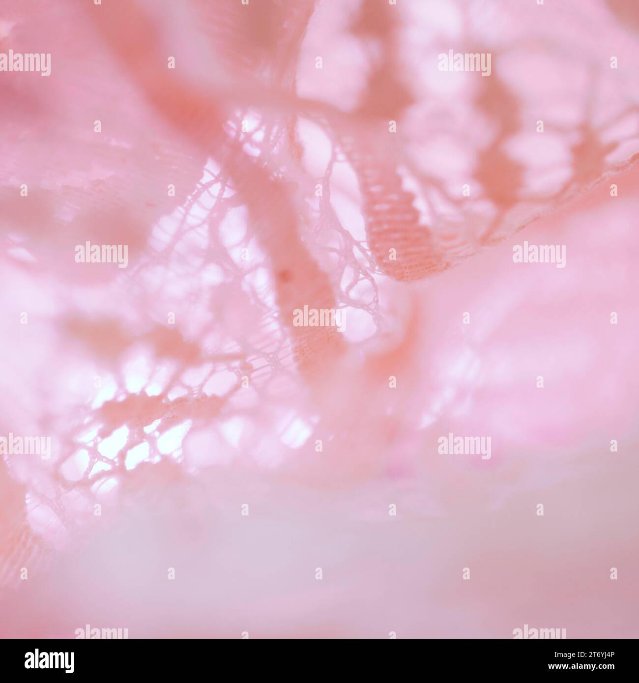 Beautiful pink textile material fine mesh Stock Photo - Alamy