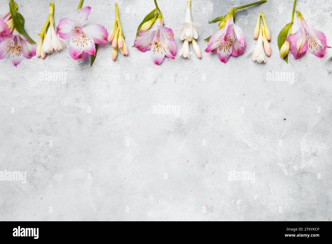 Flat lay spring orchids with copy space Stock Photo - Alamy