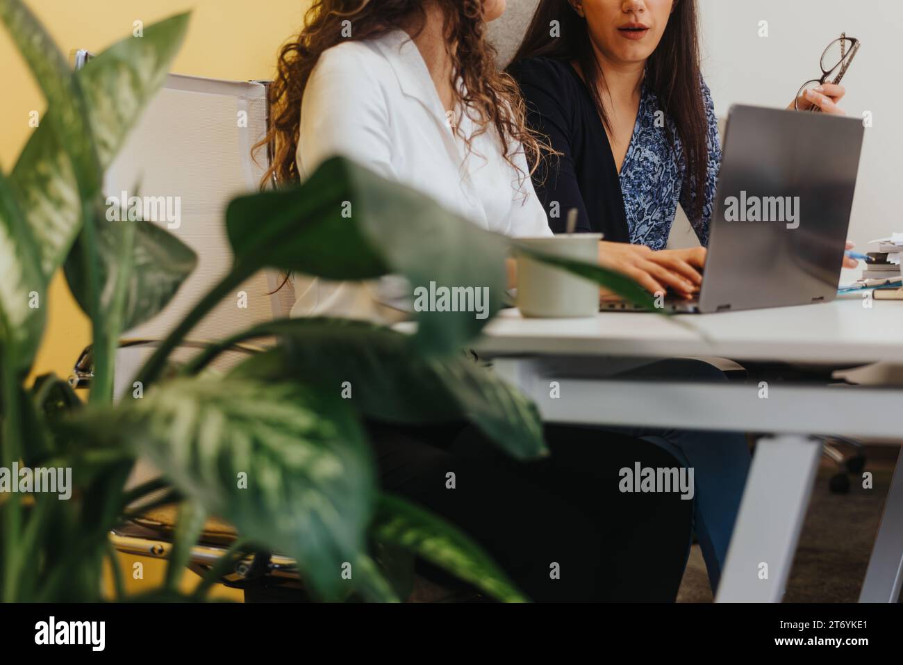 Innovative Business Collaboration Between Two Young Businesswomen in ...