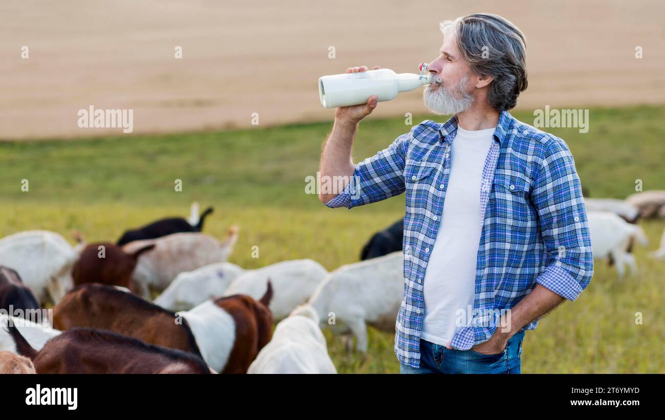 One goat drinking milk hi-res stock photography and images - Alamy
