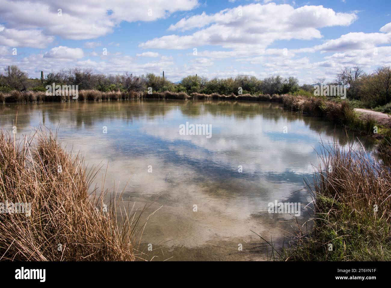 Quitobaquito Spring, a large water oasis north of international border ...