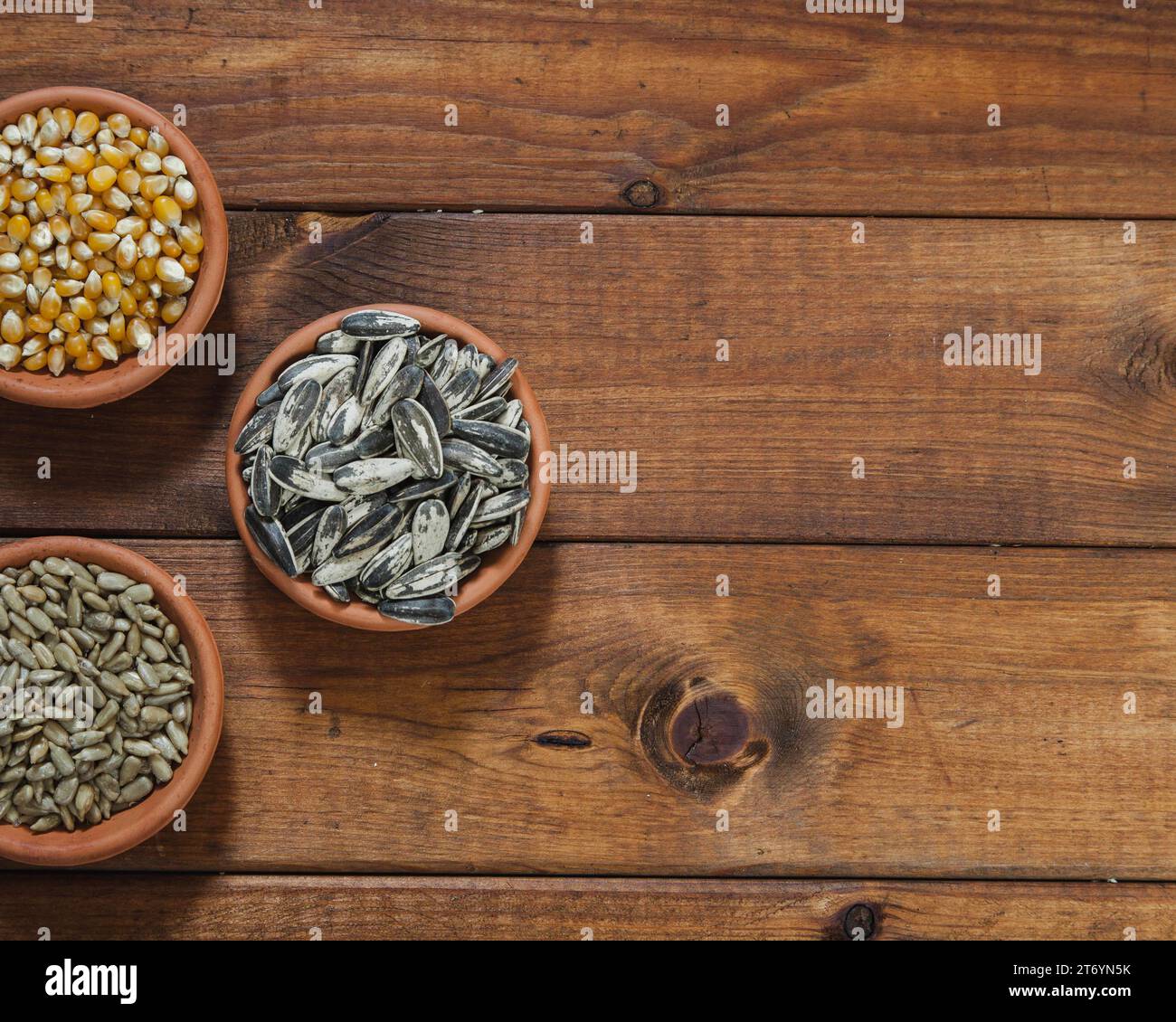 Sunflower corn seeds Stock Photo - Alamy