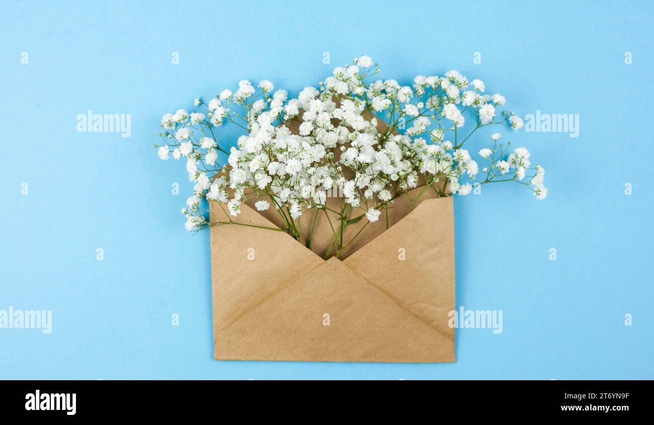 Envelope flowers lay flat hi-res stock photography and images - Alamy