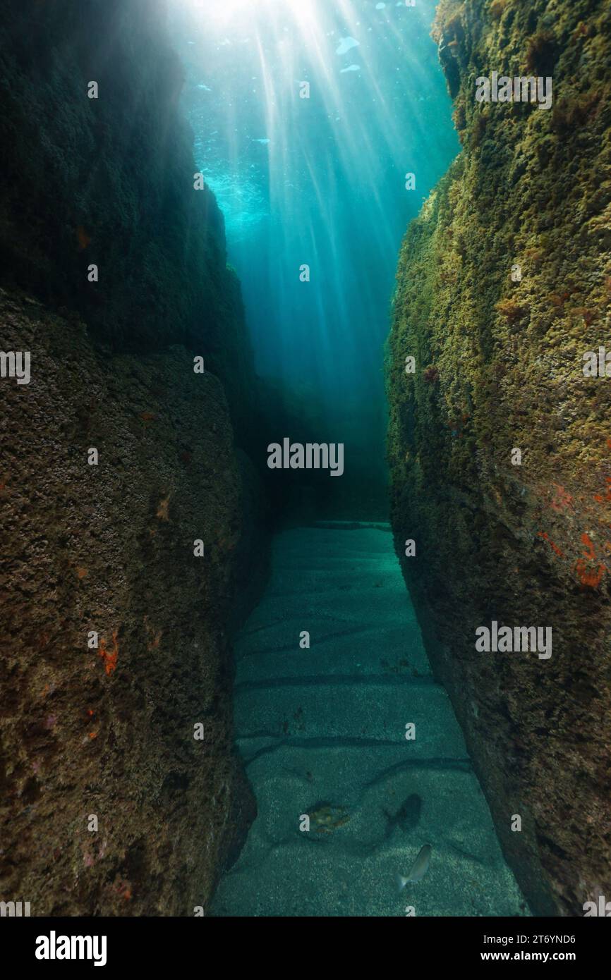 Underwater scene seabed rocks sand hi-res stock photography and images ...