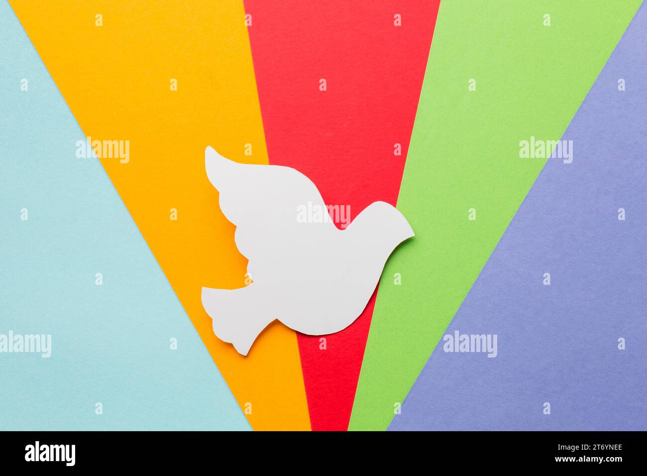 Top view paper dove with colors Stock Photo - Alamy