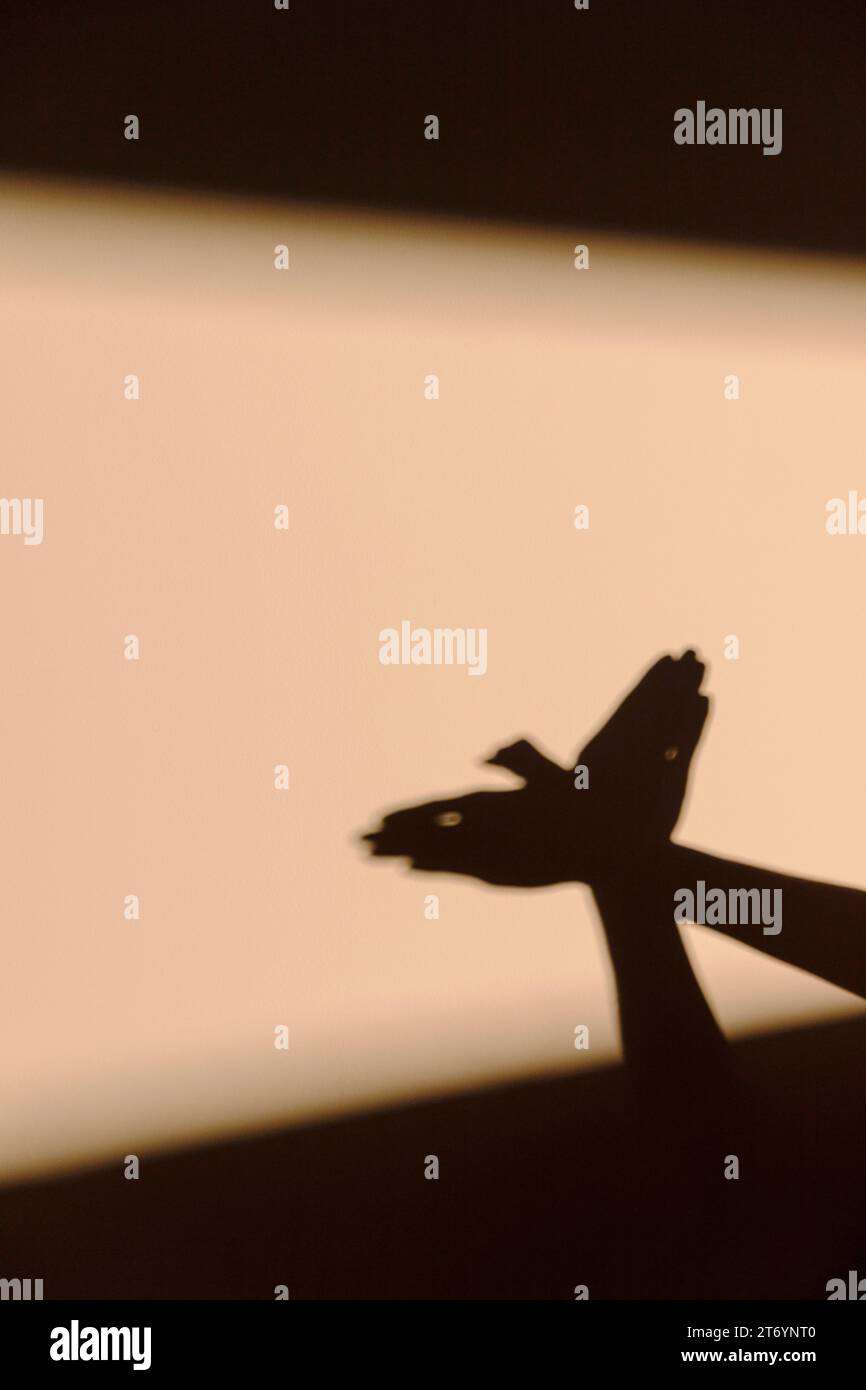 Woman making bird shadow Stock Photo - Alamy