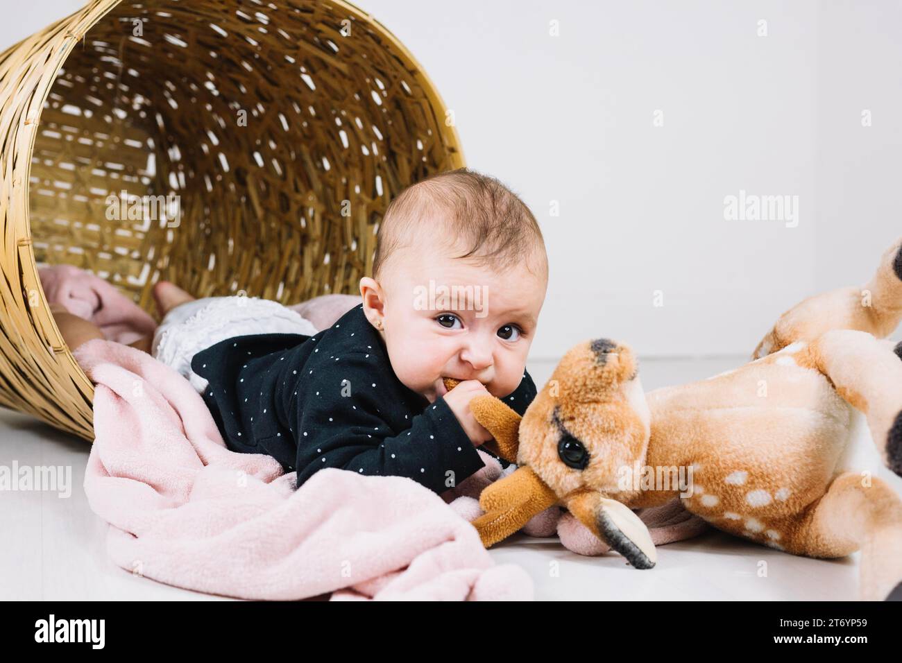 Baby biting toy looking camera Stock Photo - Alamy