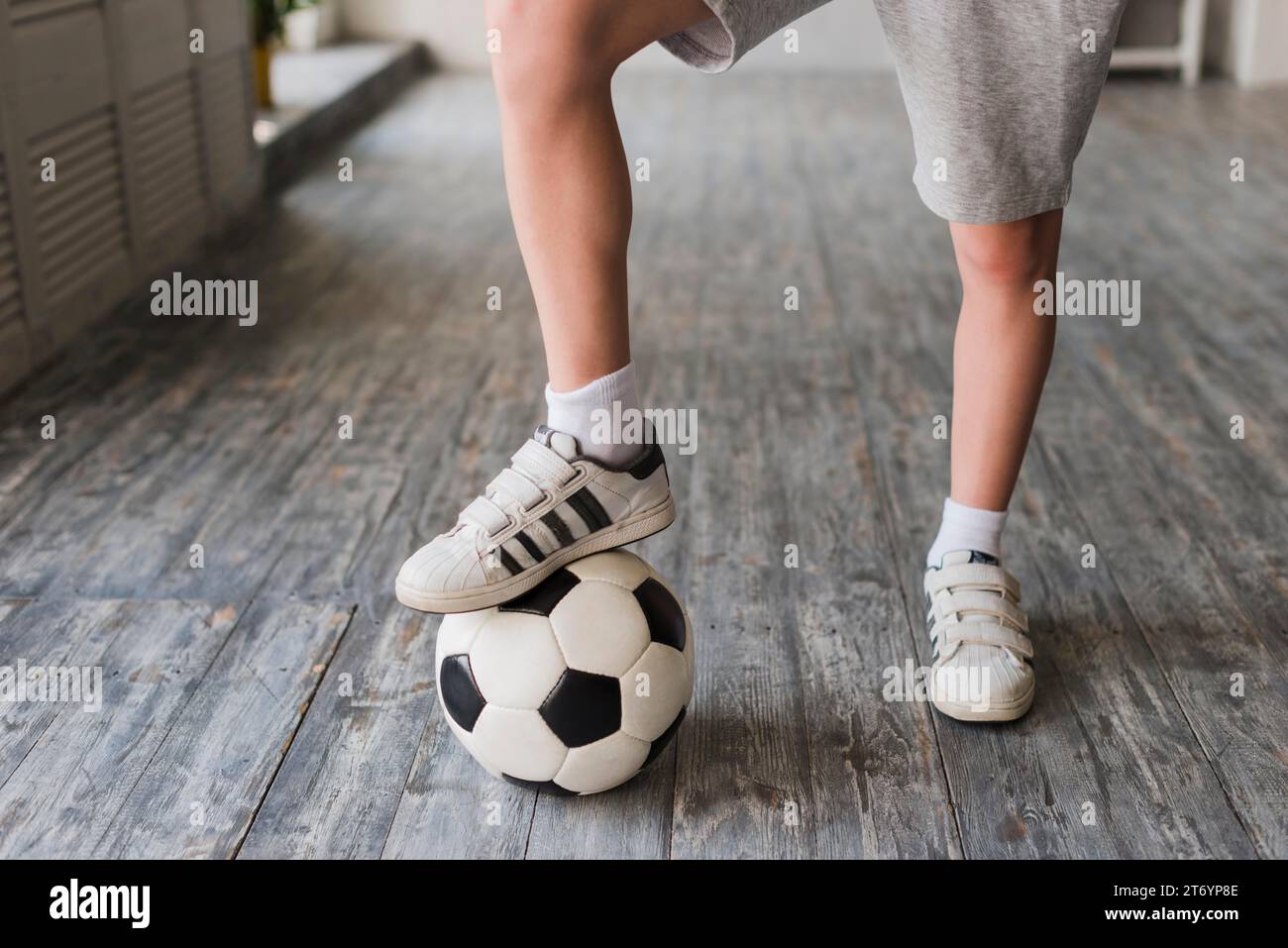 Hardwood young hi-res stock photography and images - Alamy